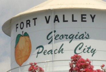 Home Georgia Peach Festival